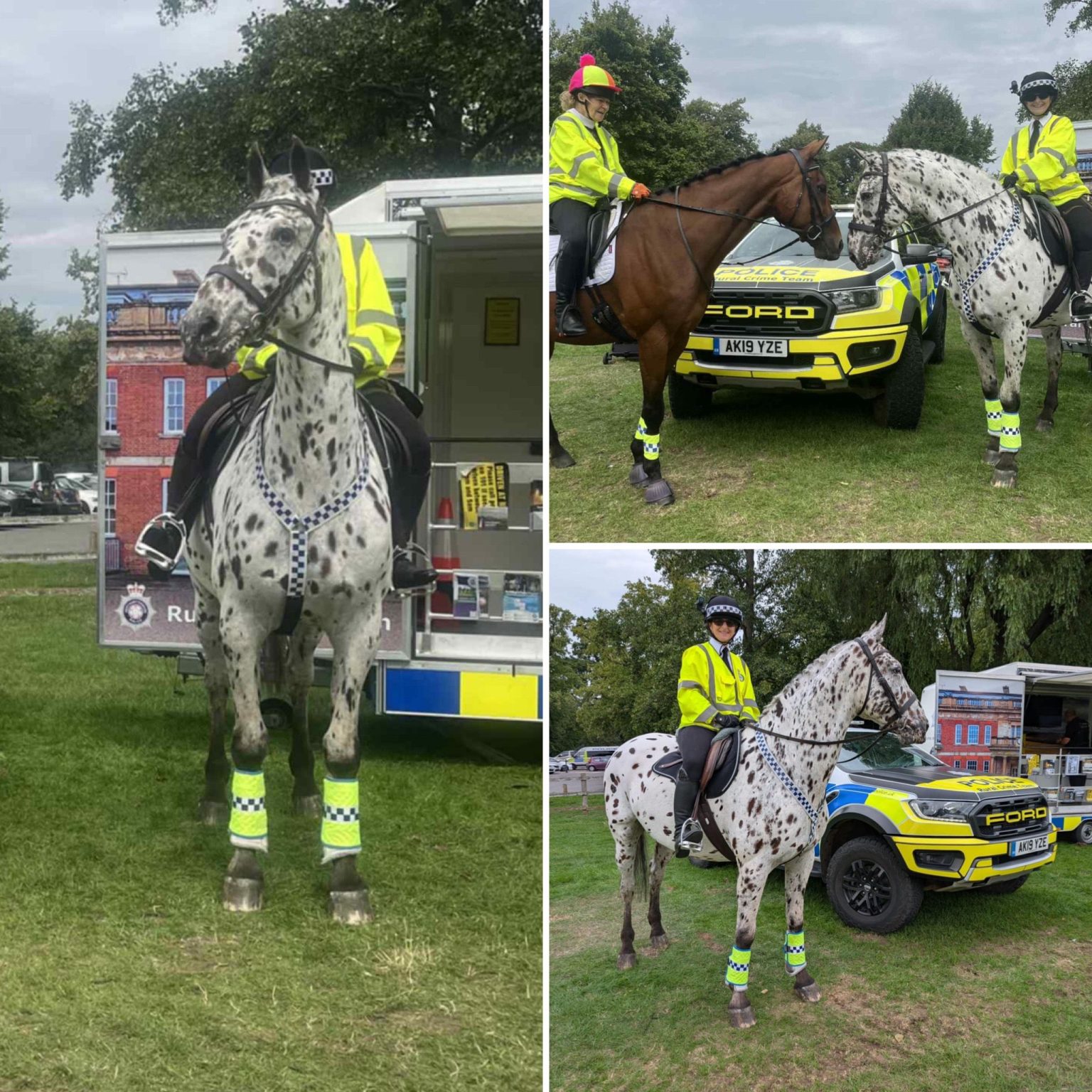 Appy SPOTlight: Deb and Invictus Providenzia (“Enzo”) – Appaloosa Horse ...