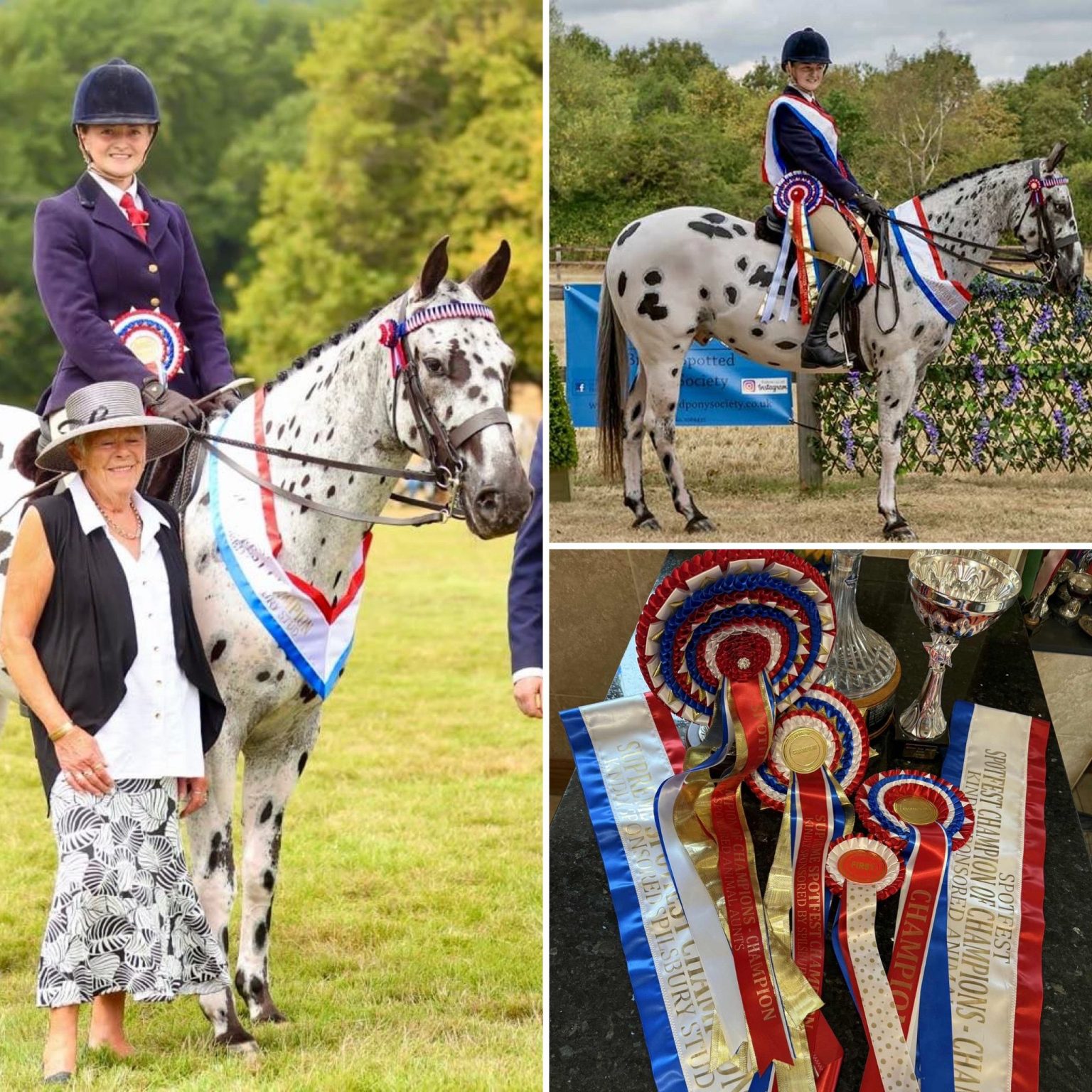 Appy SPOTlight: Deb and Invictus Providenzia (“Enzo”) – Appaloosa Horse ...